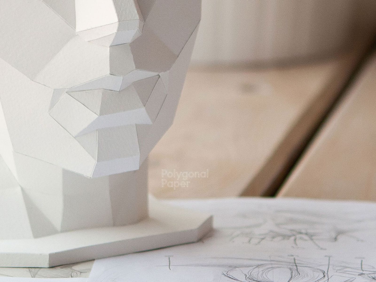 Polygonal Paper — Planar Girl Head: Papercraft Scheme for Printing